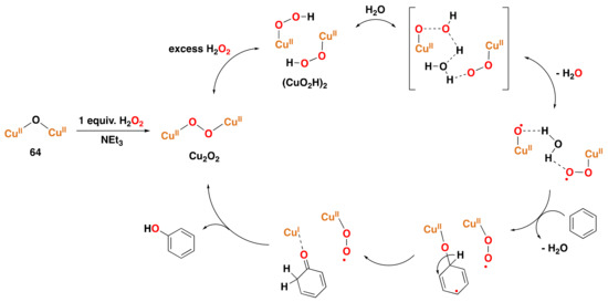Non-Noble Metal Aromatic Oxidation Catalysis: From Metalloenzymes to ...