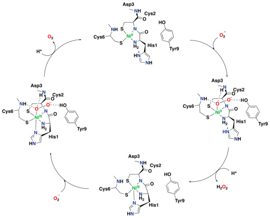 Non-Noble Metal Aromatic Oxidation Catalysis: From Metalloenzymes to ...