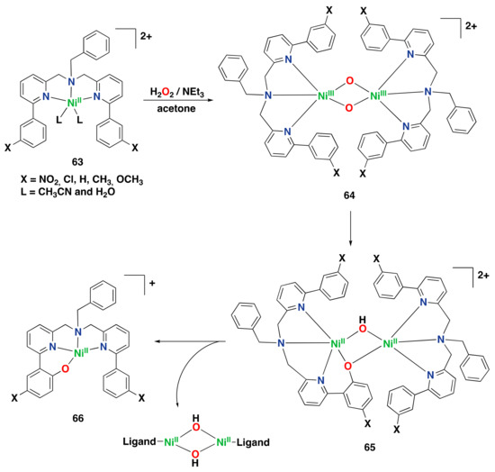 Non-Noble Metal Aromatic Oxidation Catalysis: From Metalloenzymes to ...