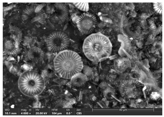 Optimization of the Geraniol Transformation Process in the Presence of Natural Mineral Diatomite ...