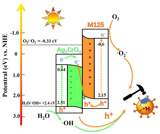 Microemulsion–Assisted Synthesis of Ag2CrO4@MIL–125(Ti)–NH2 Z–Scheme ...