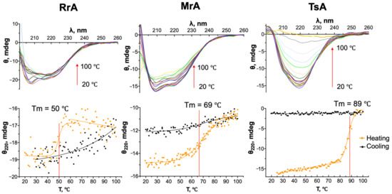 Thermal Inactivation Mechanism and Structural Features Providing ...