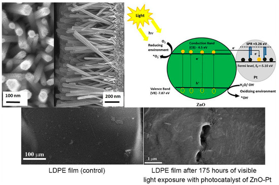 Photocatalytic Technologies for Transformation and Degradation of ...