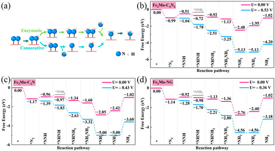 Tailoring of Three-Atom Metal Cluster Catalysts for Ammonia Synthesis