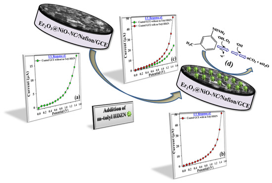 A Comprehensive Study of Electrocatalytic Degradation of M ...