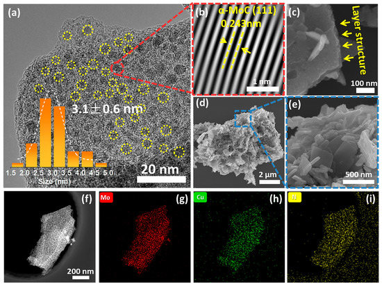 Dual-Doping Strategy for Enhancing Hydrogen Evolution on Molybdenum ...