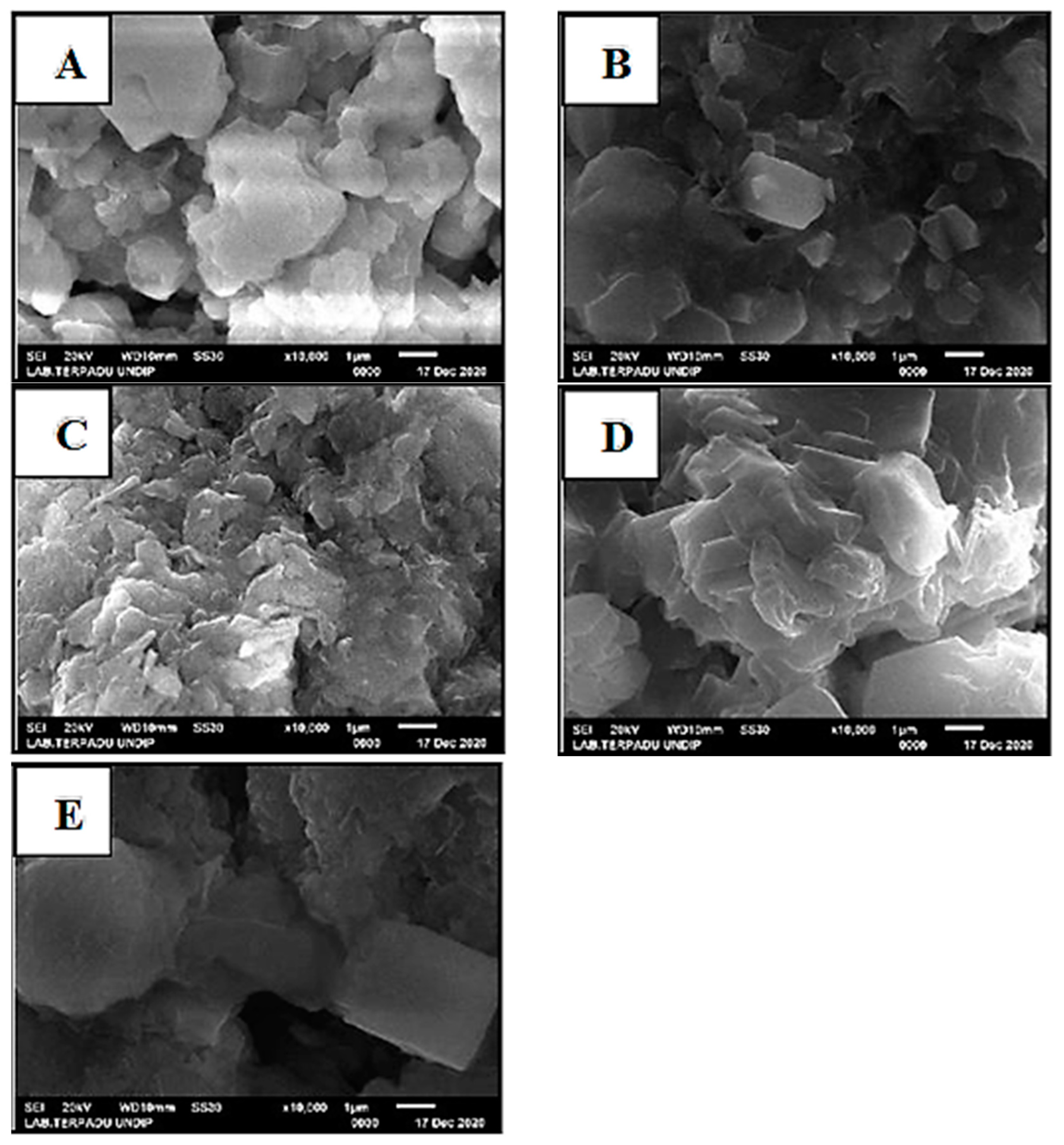 Effect of Temperature and Tapioca Flour Concentration on Manufacture of ...