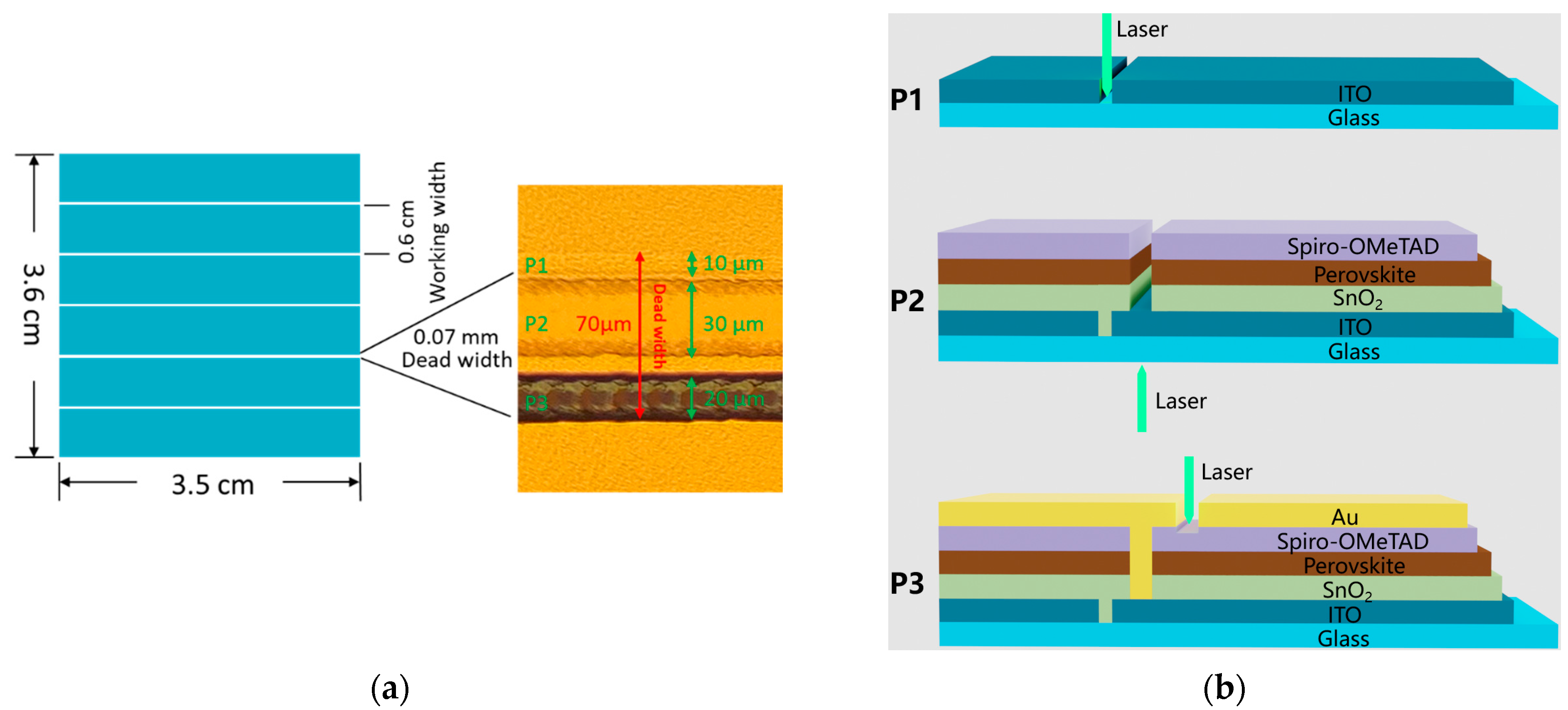 Catalysts | Free Full-Text | Preparation of High Geometric Filling Factor Perovskite Module and ...