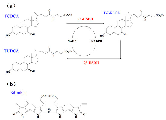 The Impact of Bilirubin on 7α- and 7β-Hydroxysteroid Dehydrogenases ...