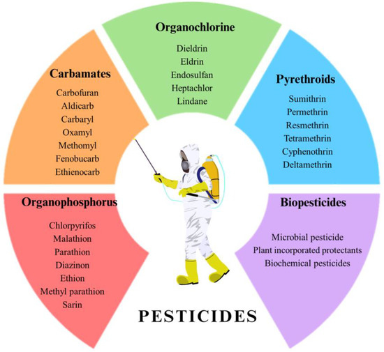 Catalysts | Free Full-Text | Pesticides in Foods: Towards Bioremediation Biocatalysts?