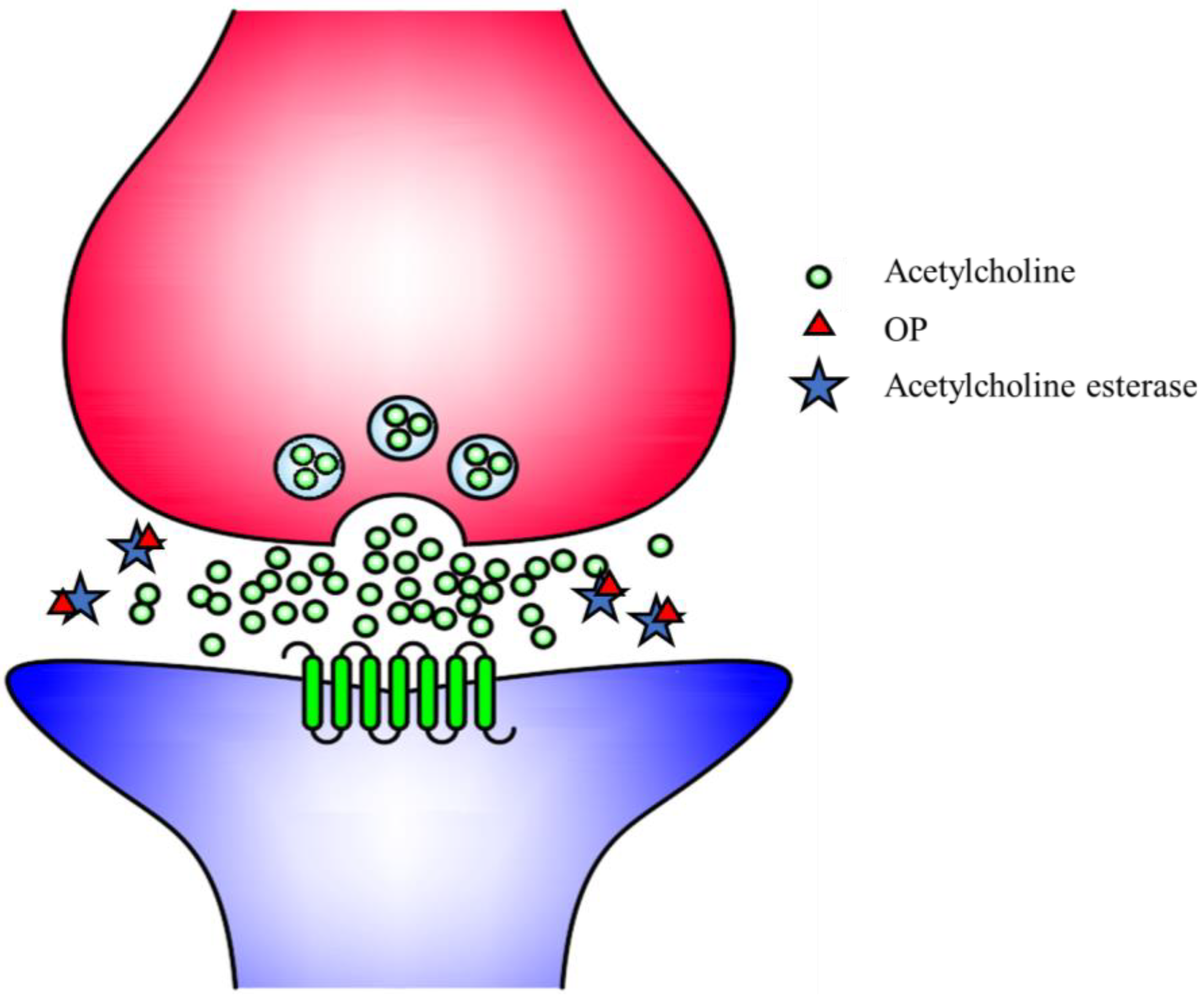 Pesticides in Foods: Towards Bioremediation Biocatalysts?