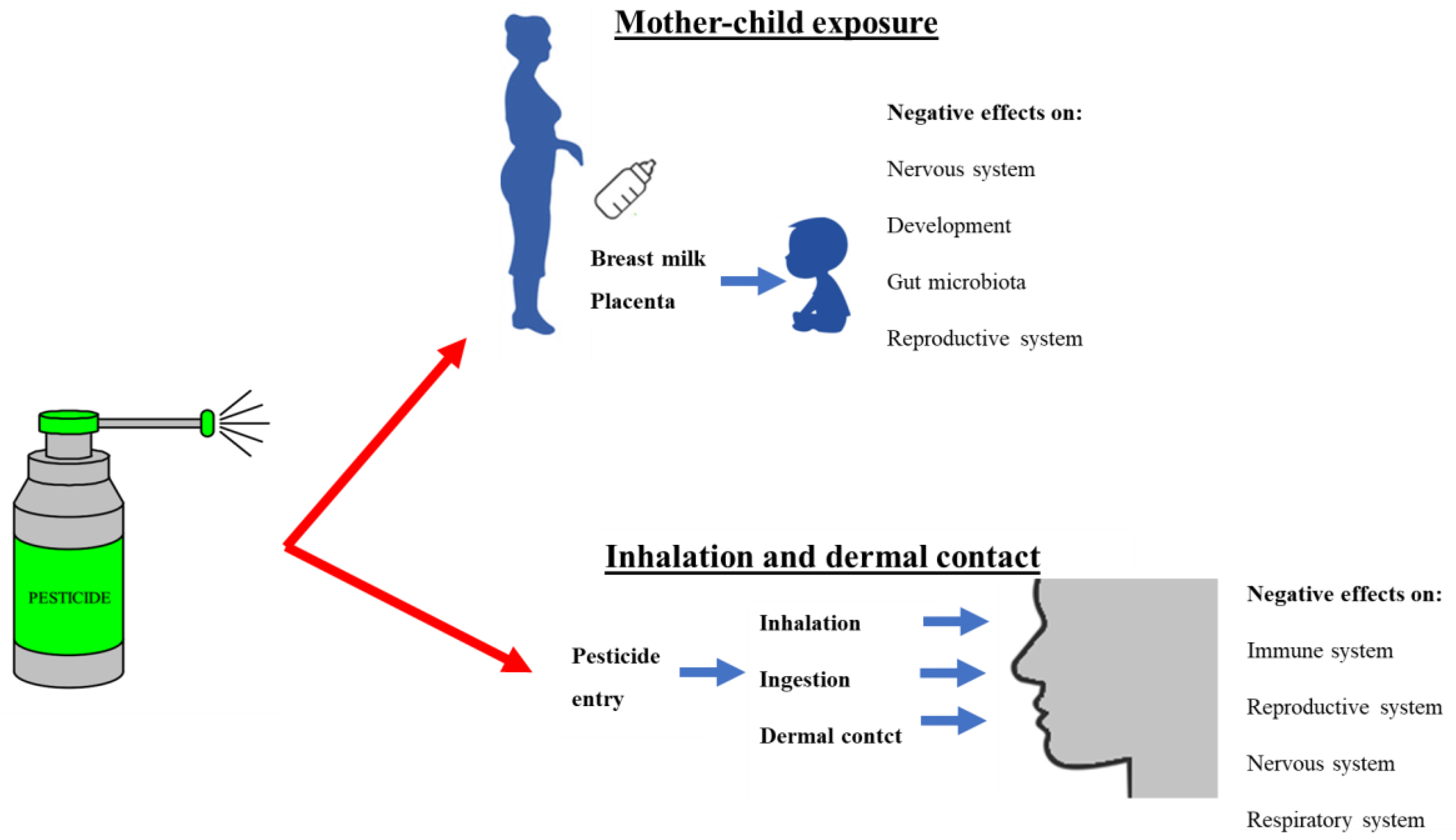 Pesticides in Foods: Towards Bioremediation Biocatalysts?
