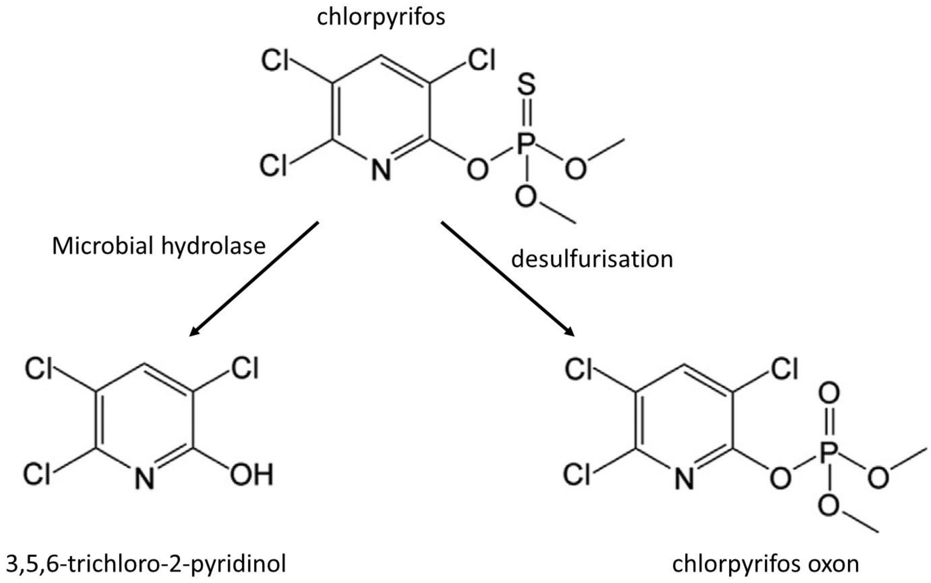 Pesticides in Foods: Towards Bioremediation Biocatalysts?