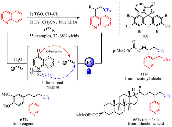Catalysts | Free Full-Text | Recent Advances in Photoredox-Catalyzed Difunctionalization of Alkenes