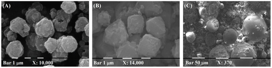 Benzene Oxidation over Pt Loaded on Fly Ash Zeolite X