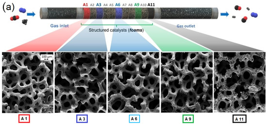 Structured Catalyst for Indirect Internal Reforming (IIR) of Biogas in ...