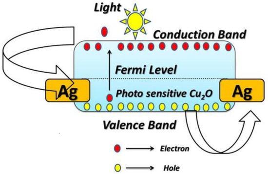 High Performance of Nanostructured Cu2O-Based Photodetectors Grown on a ...