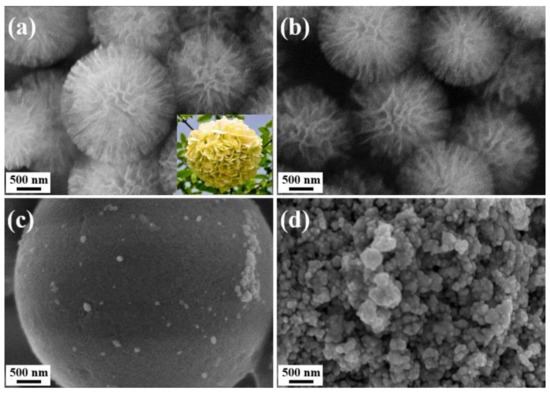 Insights into SnO2 Nanoparticles Supported on Fibrous Mesoporous Silica ...