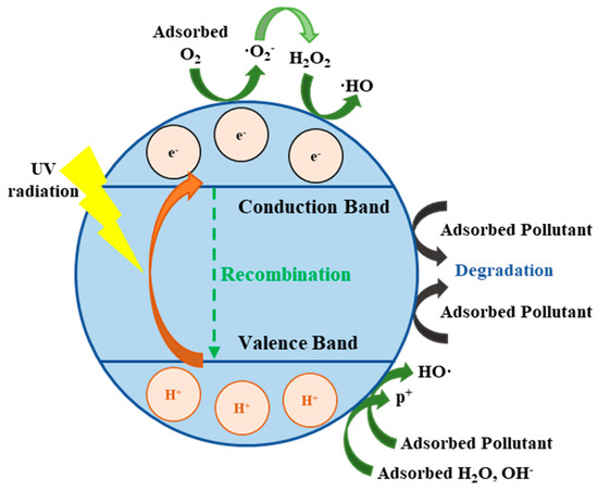 Bioenergy Production from Agro-Industrial Wastewater Using Advanced ...