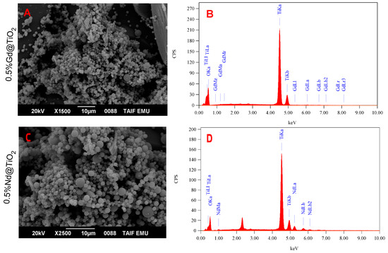 Catalysts | Free Full-Text | Enhanced Alkaline Hydrogen Evolution on ...