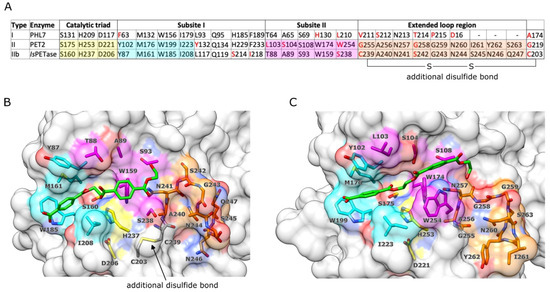 Marine PET Hydrolase (PET2): Assessment of Terephthalate- and Indole ...