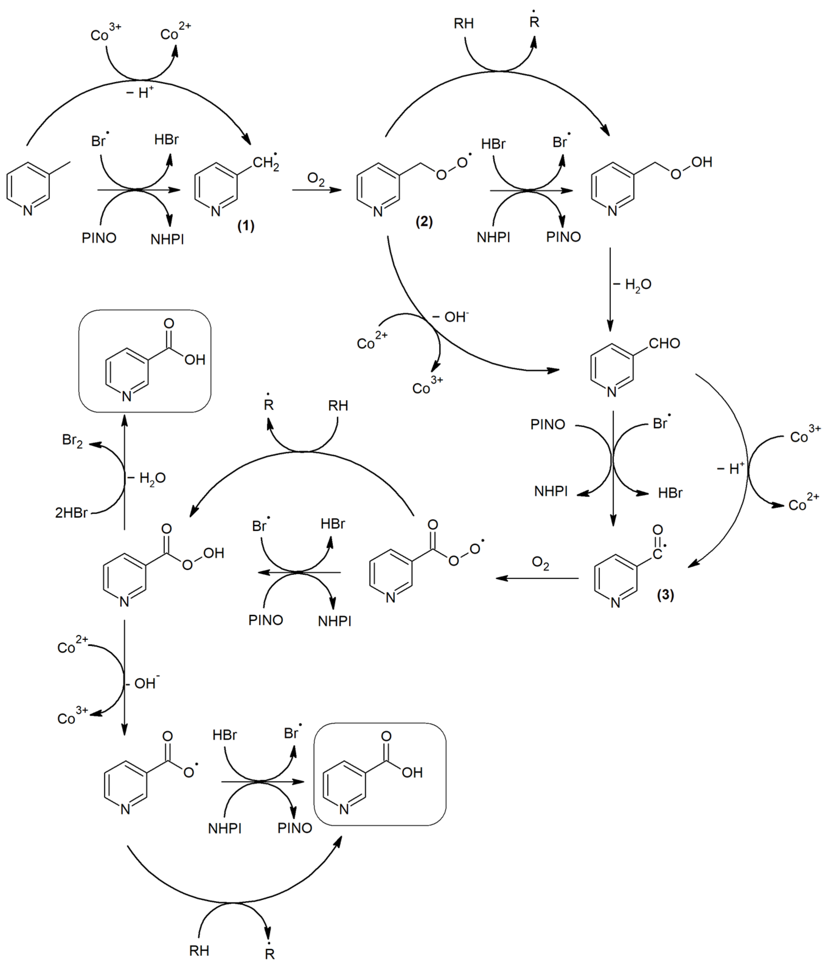 Oxidation of Picoline with Oxygen to Nicotinic Acid against Co2+, NHPI ...