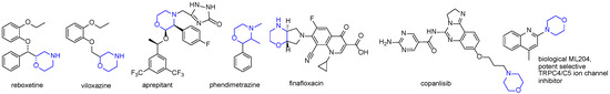 Morpholine Radical in the Electrochemical Reaction with Quinoline N-Oxide