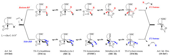 Role of Electronic and Steric Effects on Ruthenium Catalysts with Bulky ...