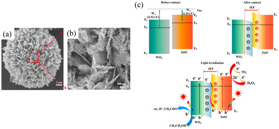 S-Scheme Heterojunction Photocatalyst for Photocatalytic H2O2 ...