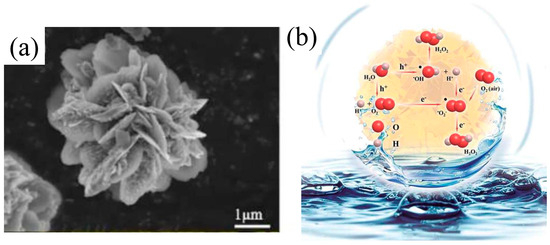 S-Scheme Heterojunction Photocatalyst for Photocatalytic H2O2 ...