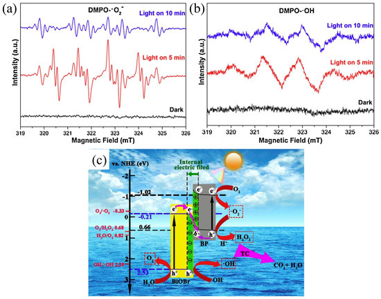 S-Scheme Heterojunction Photocatalyst for Photocatalytic H2O2 ...