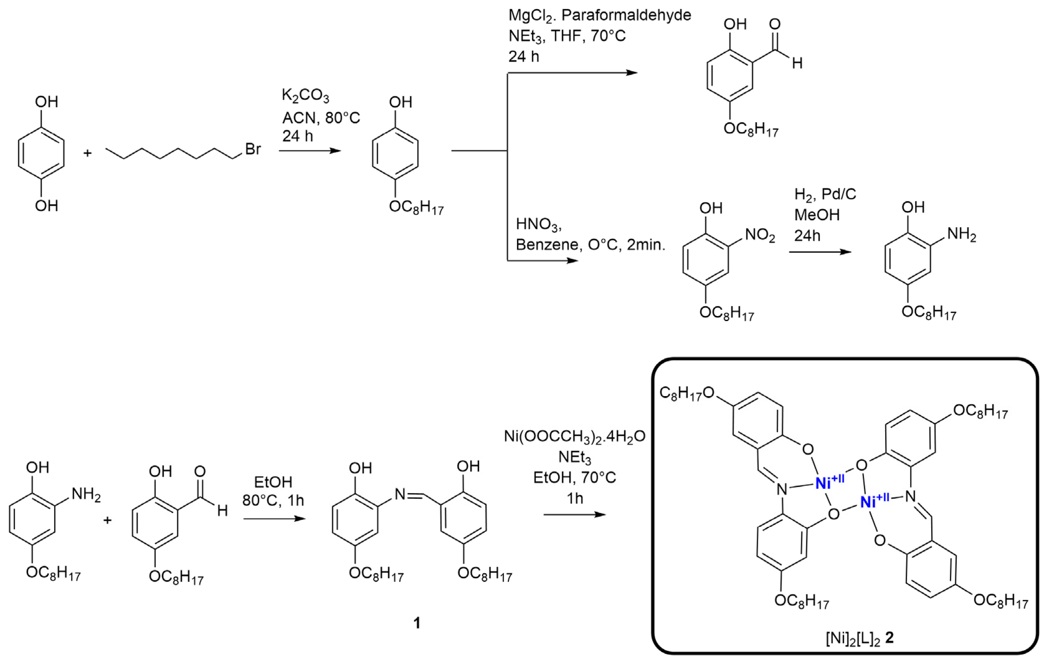 A Molecular Binuclear Nickel (II) Schiff Base Complex for Efficient HER Electrocatalysis