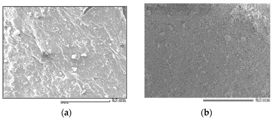 The Catalytic Wet Oxidation of Excess Activated Sludge from a Coal ...