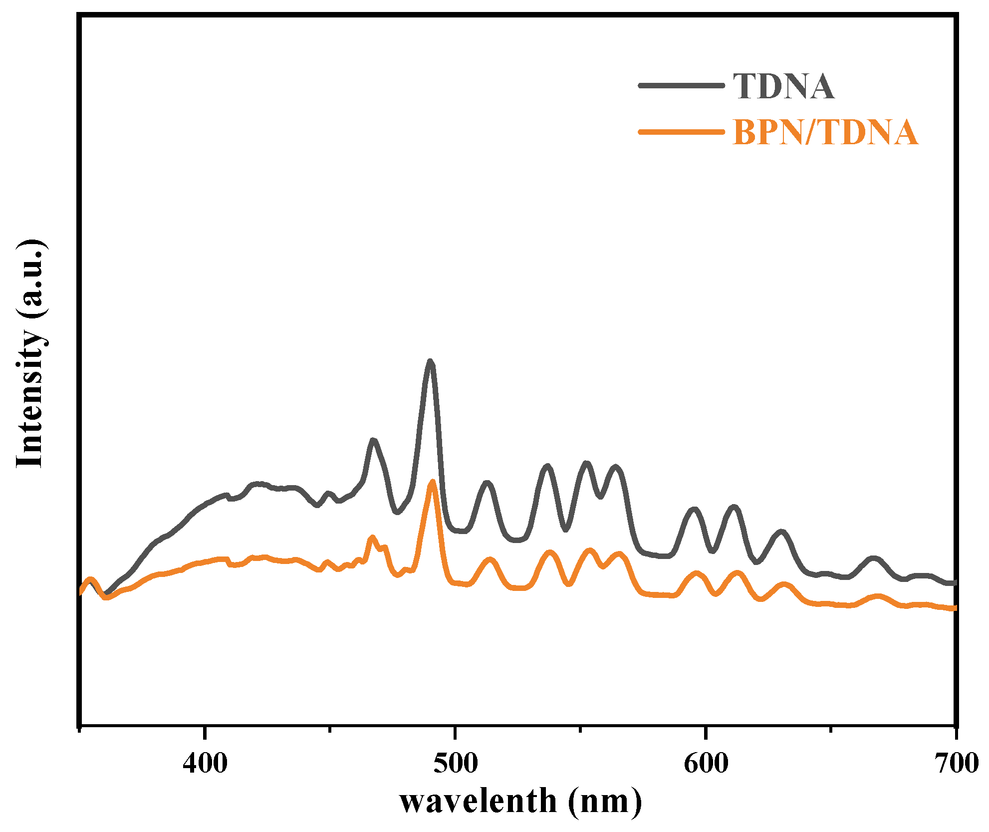 Detection of Ciprofloxacin Based on BPN/TDNA Photoelectrode