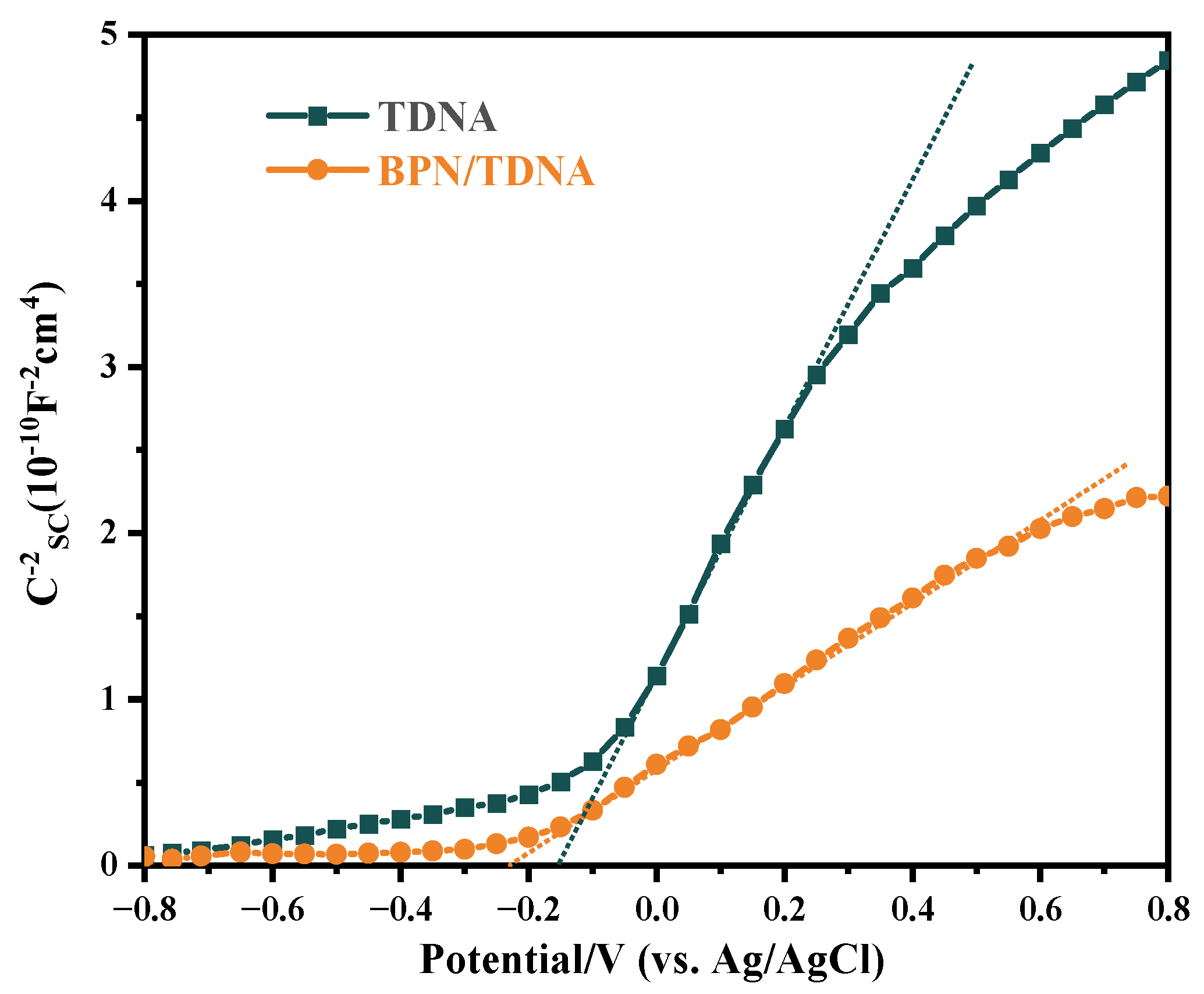 Detection of Ciprofloxacin Based on BPN/TDNA Photoelectrode