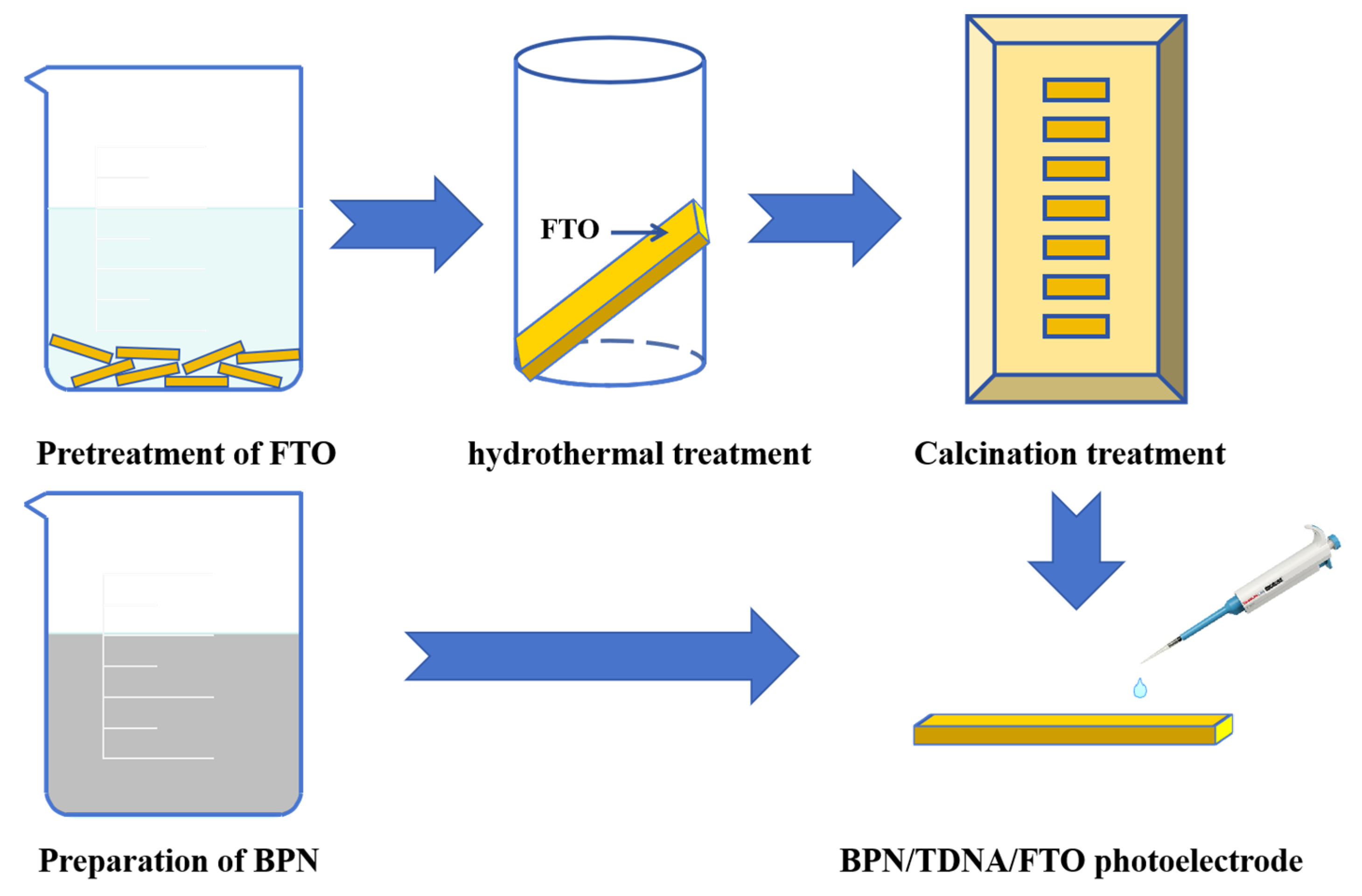 Detection of Ciprofloxacin Based on BPN/TDNA Photoelectrode