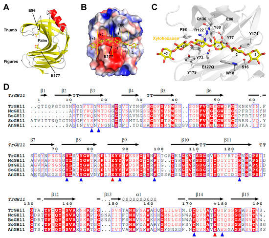Engineering of GH11 Xylanases for Optimal pH Shifting for Industrial ...