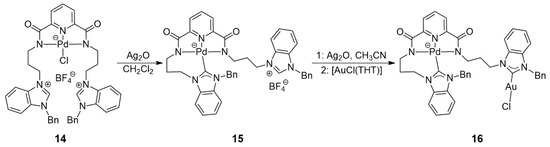Heterobimetallic Complexes of Bi- or Polydentate N-Heterocyclic Carbene ...