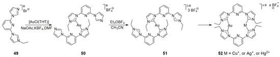 Heterobimetallic Complexes of Bi- or Polydentate N-Heterocyclic Carbene ...