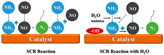 Sulfur and Water Resistance of Carbon-Based Catalysts for Low ...