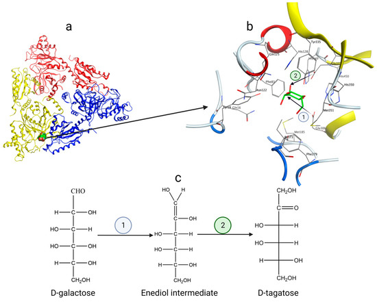 Catalysts | Free Full-Text | Advances and Prospects of d-Tagatose ...