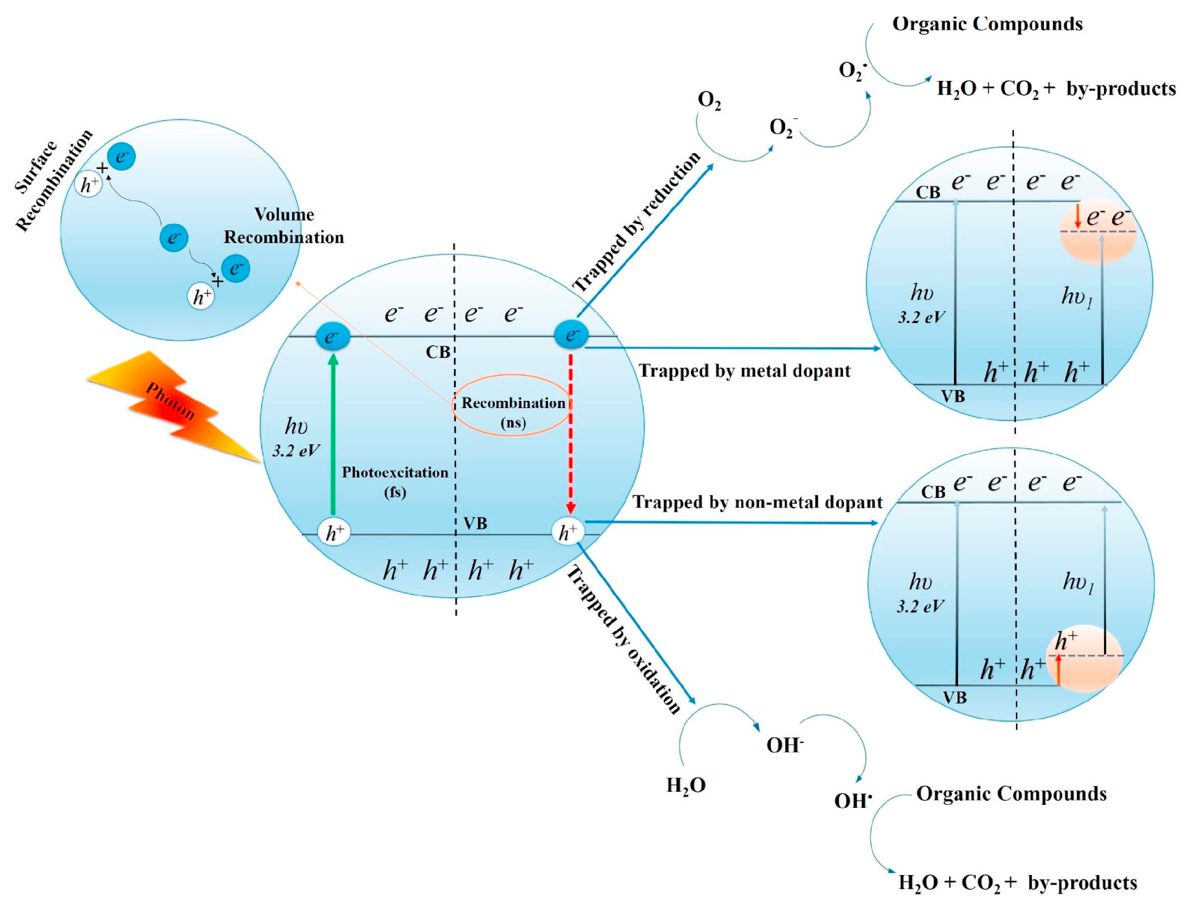 Titanium dioxide photocatalysis air purification store