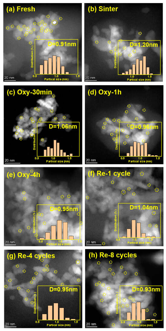 Structure Robustness of Highly Dispersed Pt/Al2O3 Catalyst for Propane ...