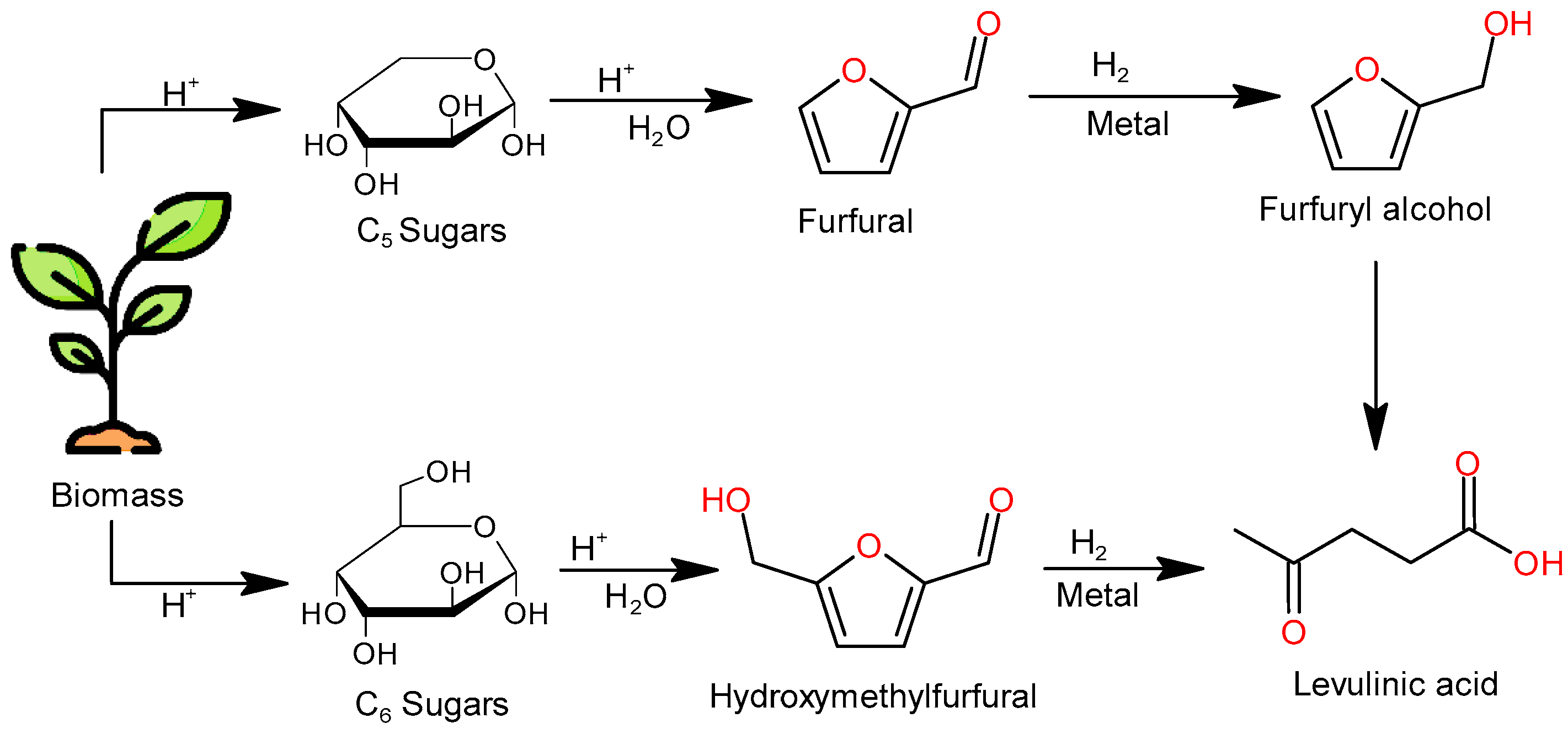 Influence of Impurities in the Chemical Processing Chain of Biomass on ...