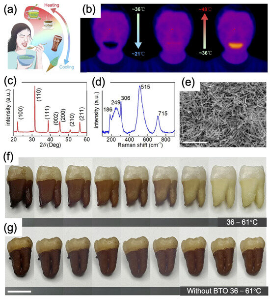 Harvesting Thermal Energy through Pyroelectric and Thermoelectric ...