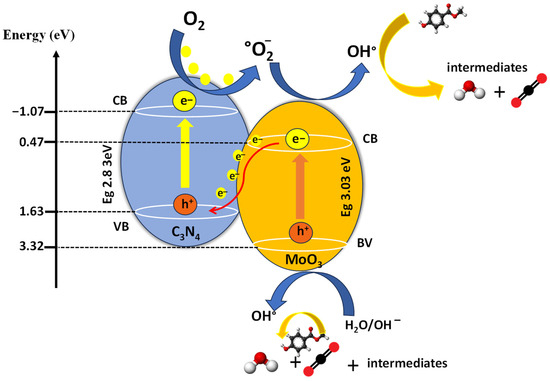 Catalysts | Free Full-Text | A Simple Approach to Prepare a C3N4/MoO3 ...