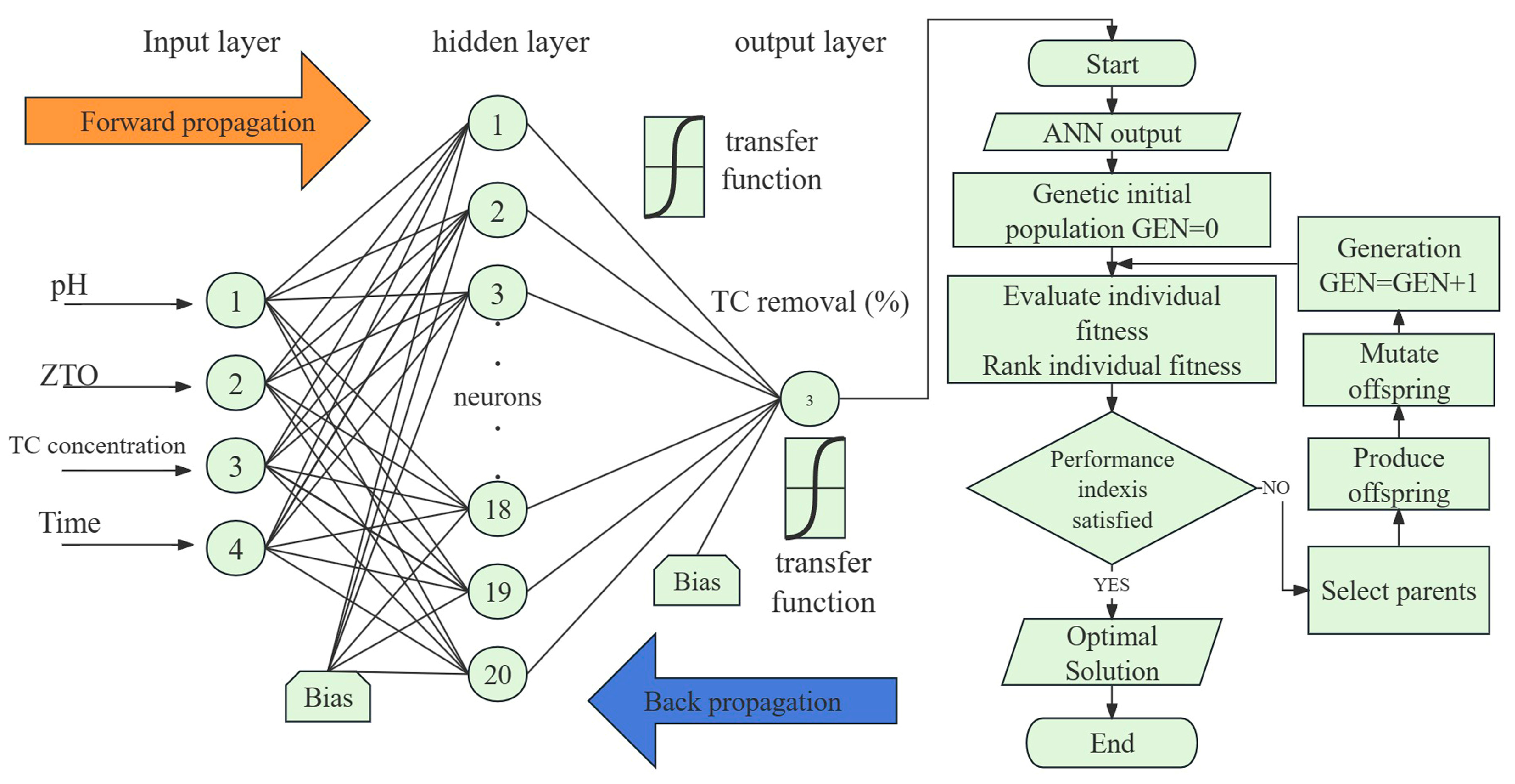 Intelligent Algorithms Enable Photocatalyst Design and Performance Prediction