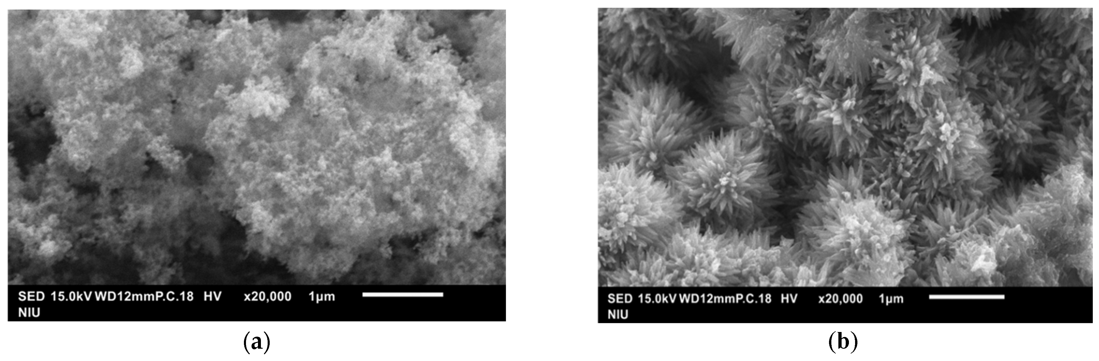 Flower-like Titanium Dioxide/Cellulose Acetate Nanofibers for Catalytic ...