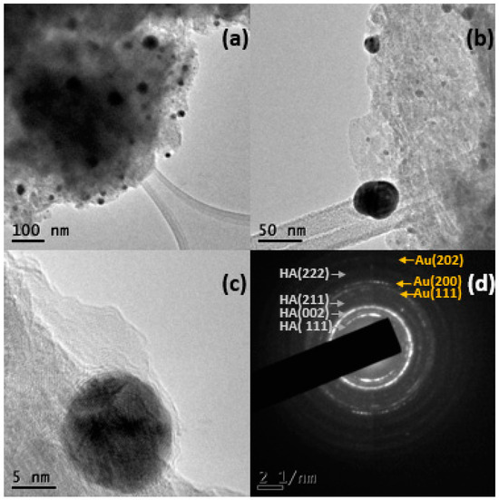 Catalysts | Free Full-Text | Au Supported on Bovine-Bone-Derived ...