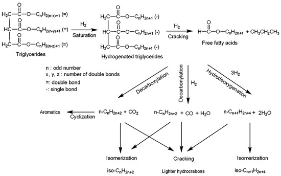 Catalytic Applications in the Production of Hydrotreated Vegetable Oil ...